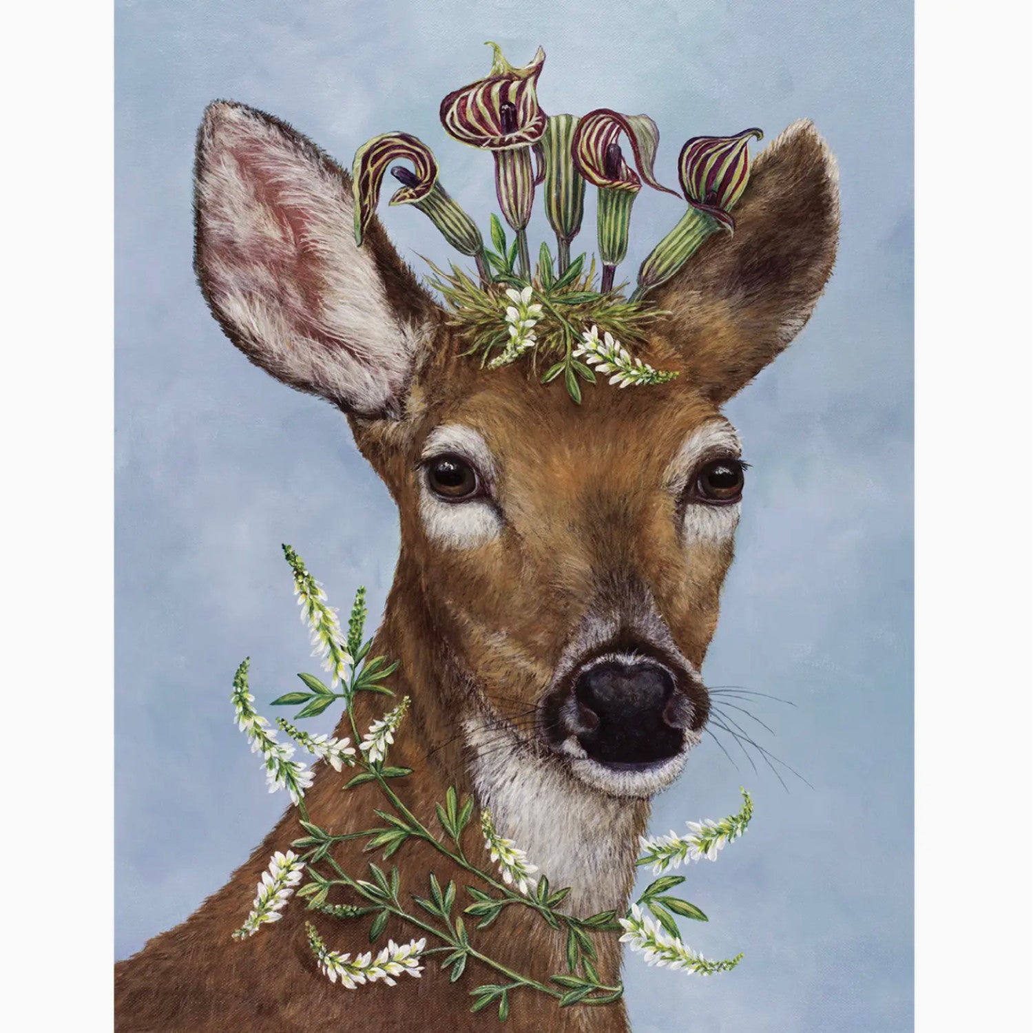 Hester & Cook- Woodland Princess Card – Brooklyn General Store