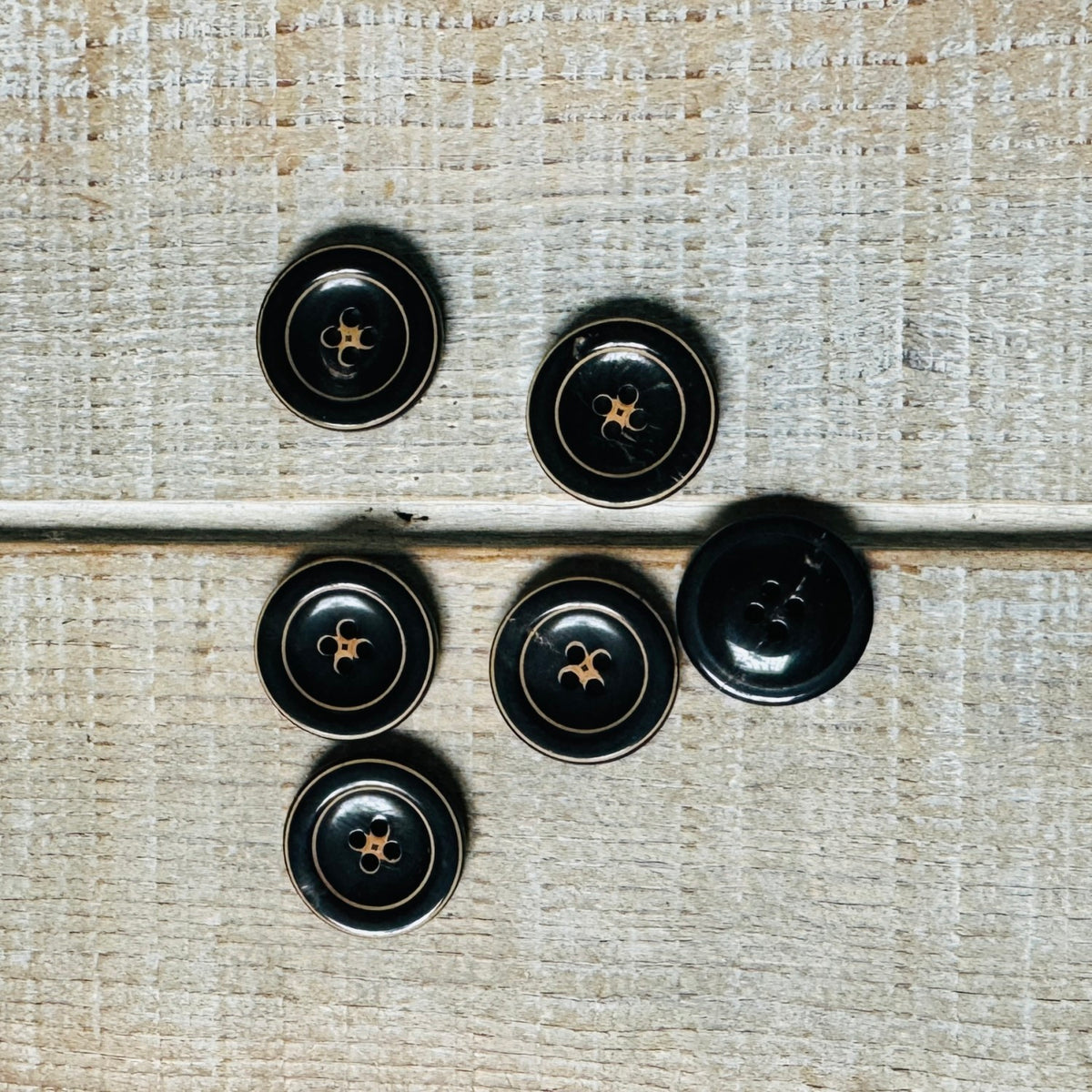 Textile Garden 5324 black / dark brown real horn buttons with raised r ...