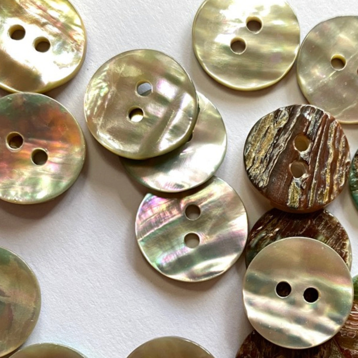 Textile Garden abalone shell 15mm – Brooklyn General Store