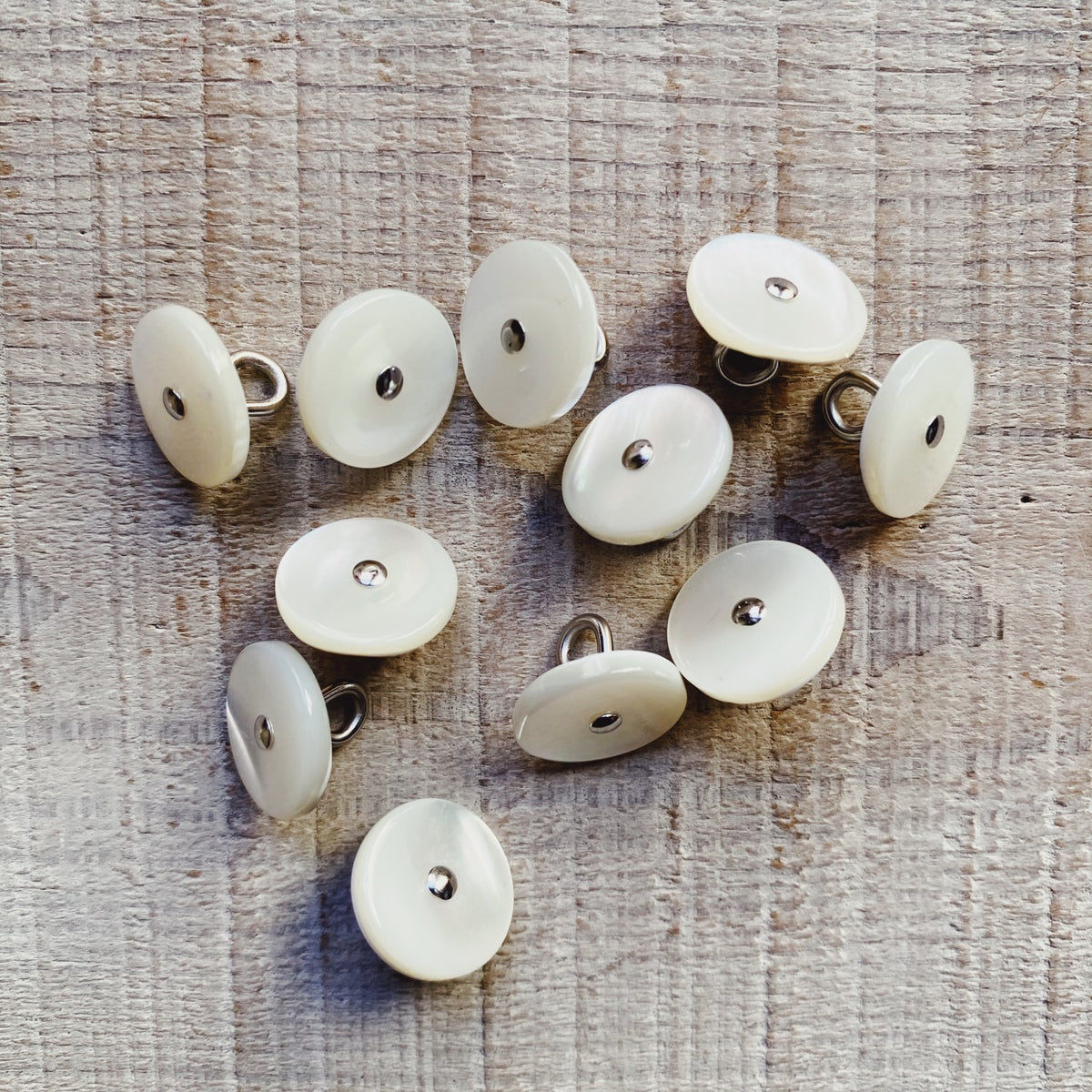 White Trochus Shell Silver Pin Shank Round Button-BB0015S13-13mm ...