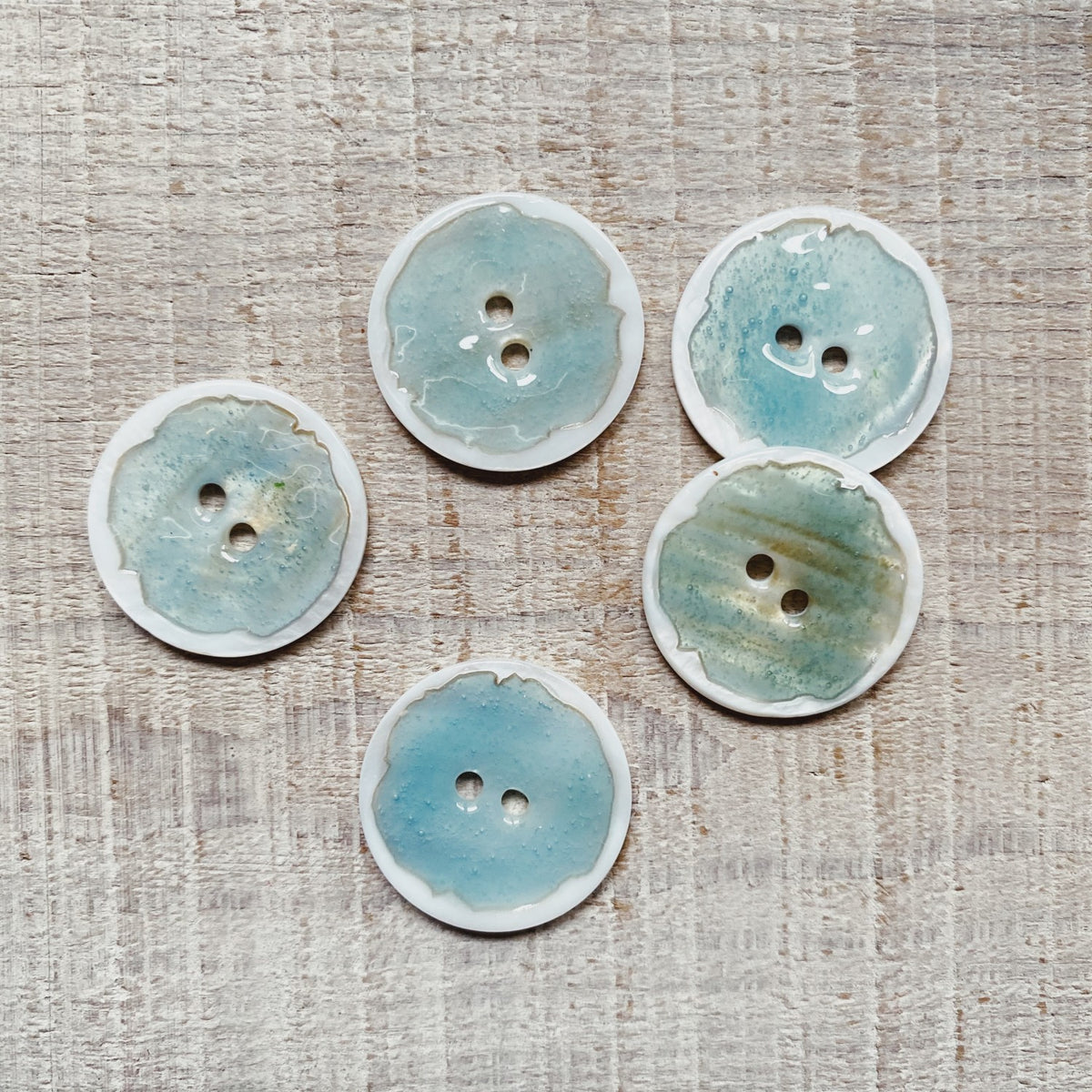 Textile Garden Shell Button 3975 white river shell with transparent gr ...