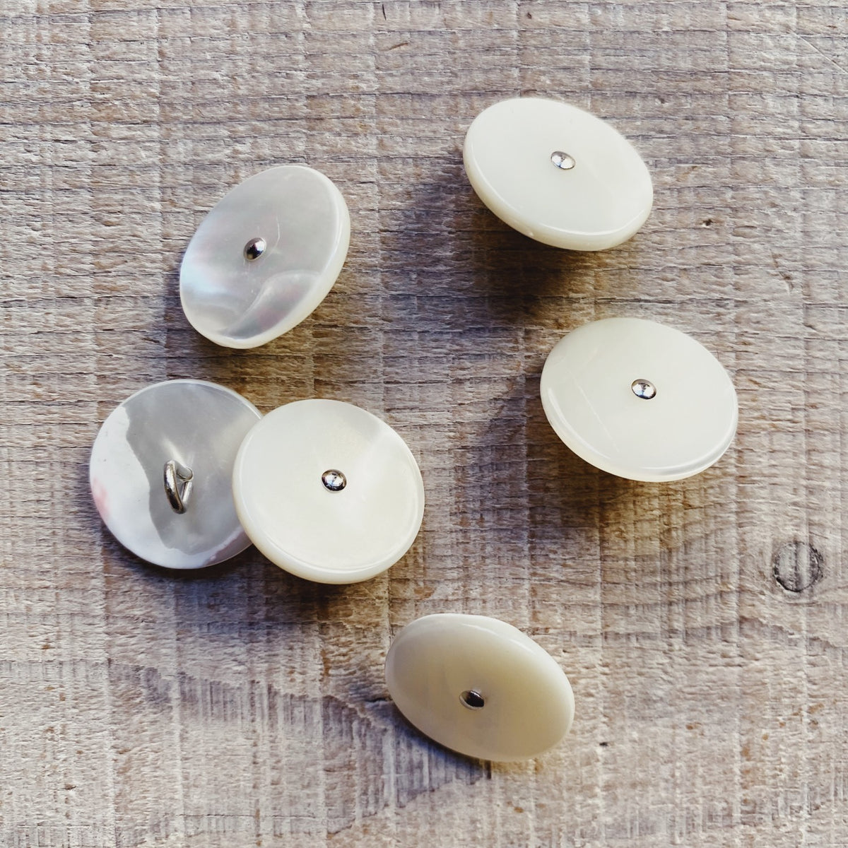 White Trochus Shell Silver Pin Shank Round (BB0017)19 mm – Brooklyn ...