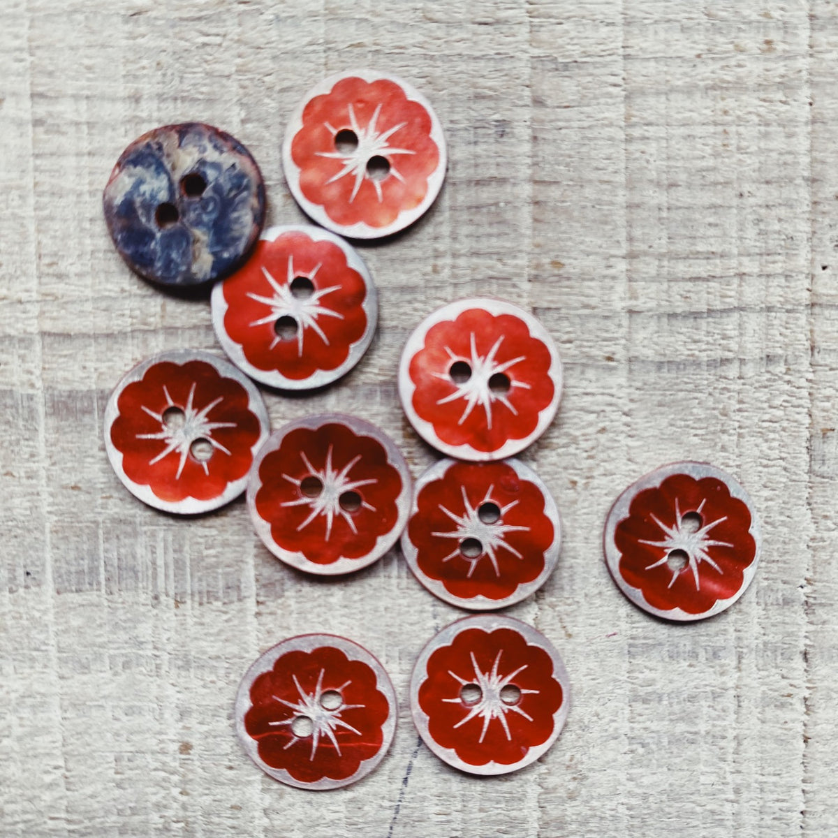 Textile Garden Button-Matte finish shell with flower pattern-12 mm ...