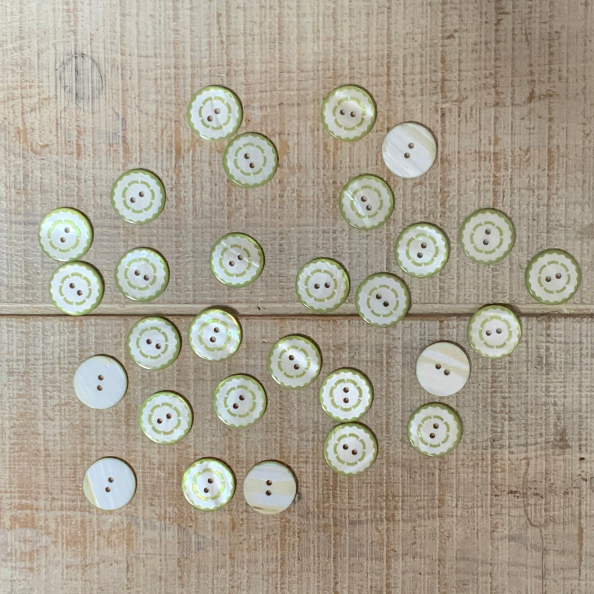 Textile Garden White River Shell with Green Decoration 22 mm 4785 ...